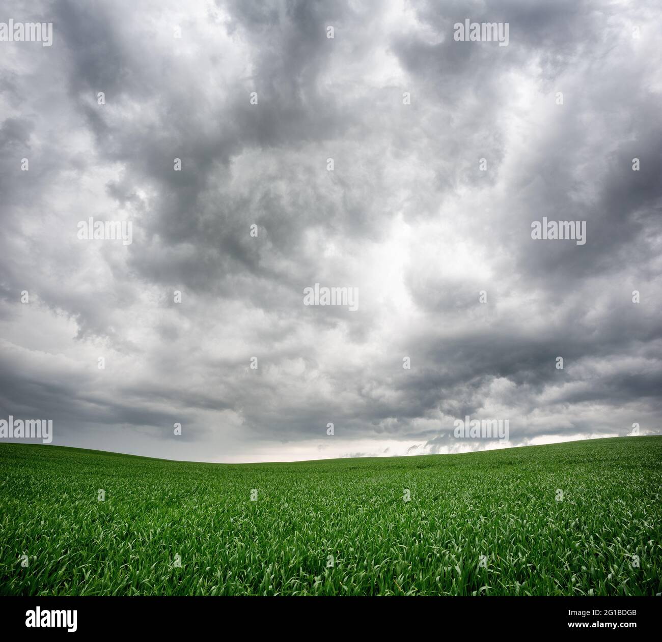 Storm cloud rain field hi-res stock photography and images - Alamy