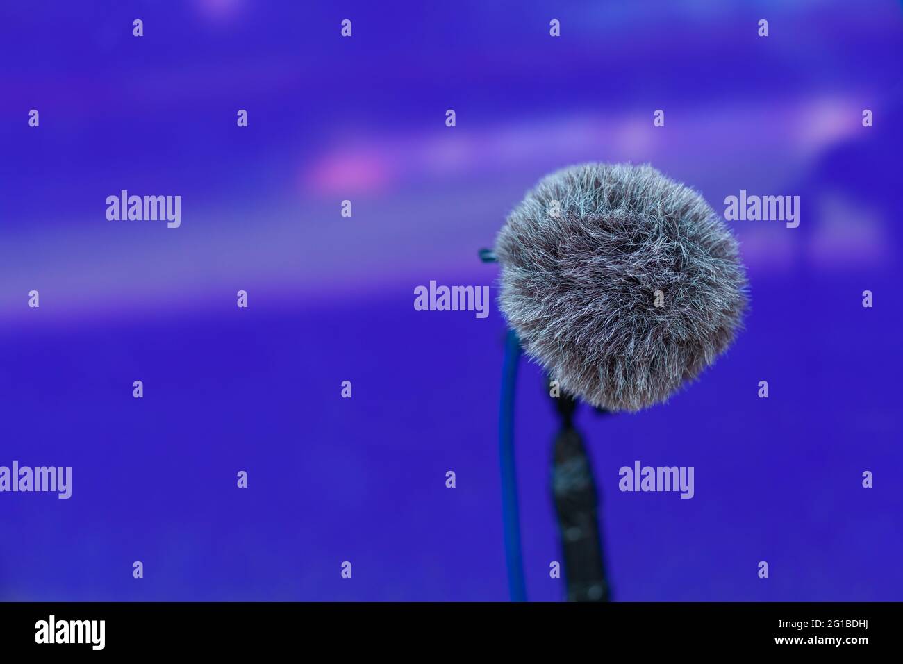 directional microphone on a football field to record the sound of a ...