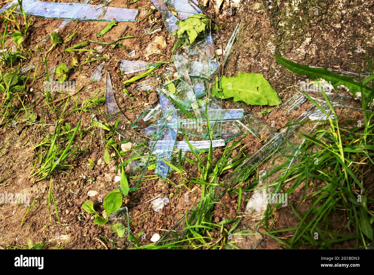 Grass Shards High Resolution Stock Photography and Images - Alamy