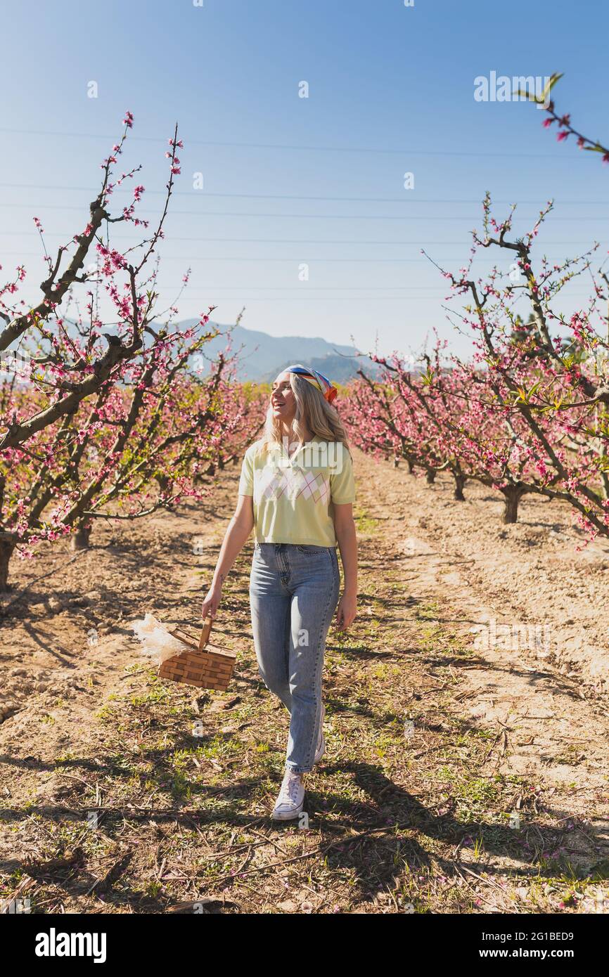 Full body of cheerful female carrying wicker basket between blooming ...