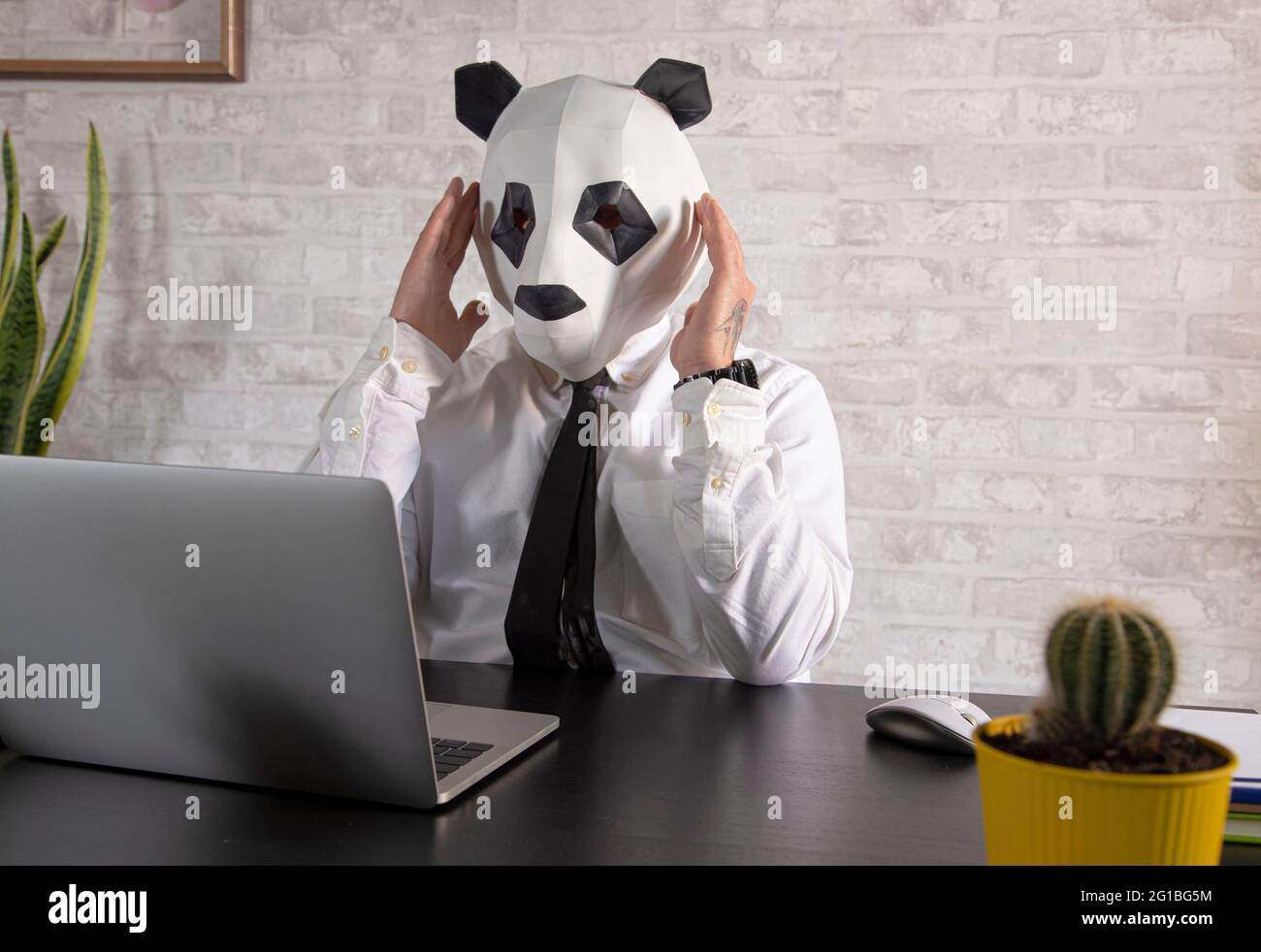 Anonymous tired male entrepreneur in panda bear mask and white shirt ...