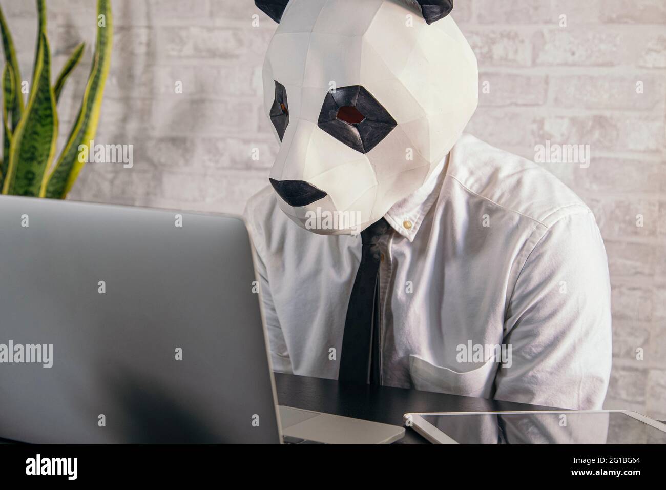 Panda mask hi-res stock photography and images - Alamy