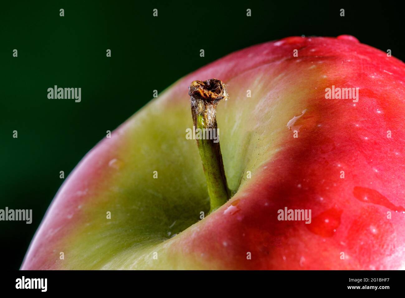 Close up apples drop hi-res stock photography and images - Alamy