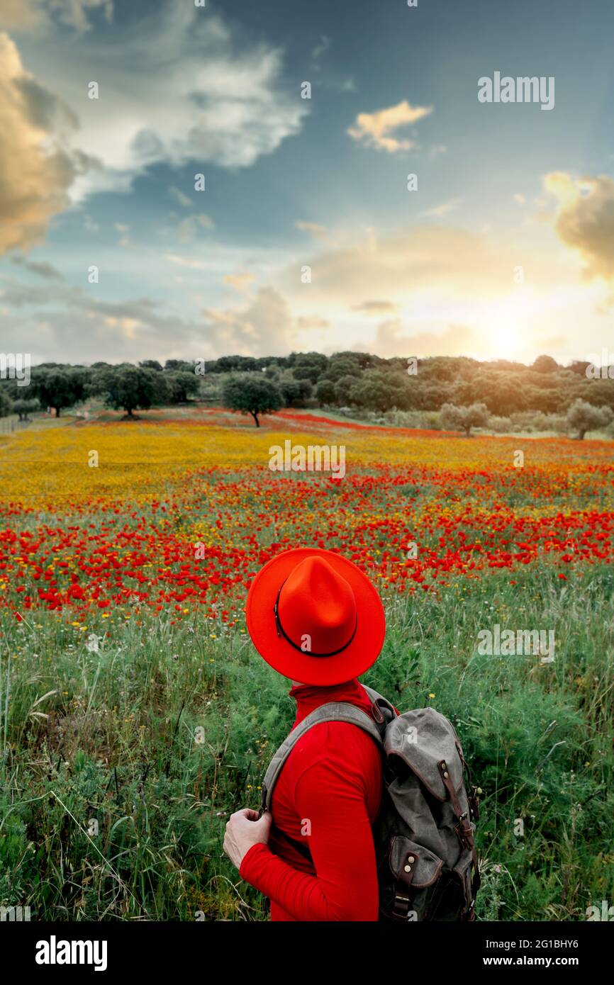 Back view unrecognizable stylish backpacker male in red clothes and ...