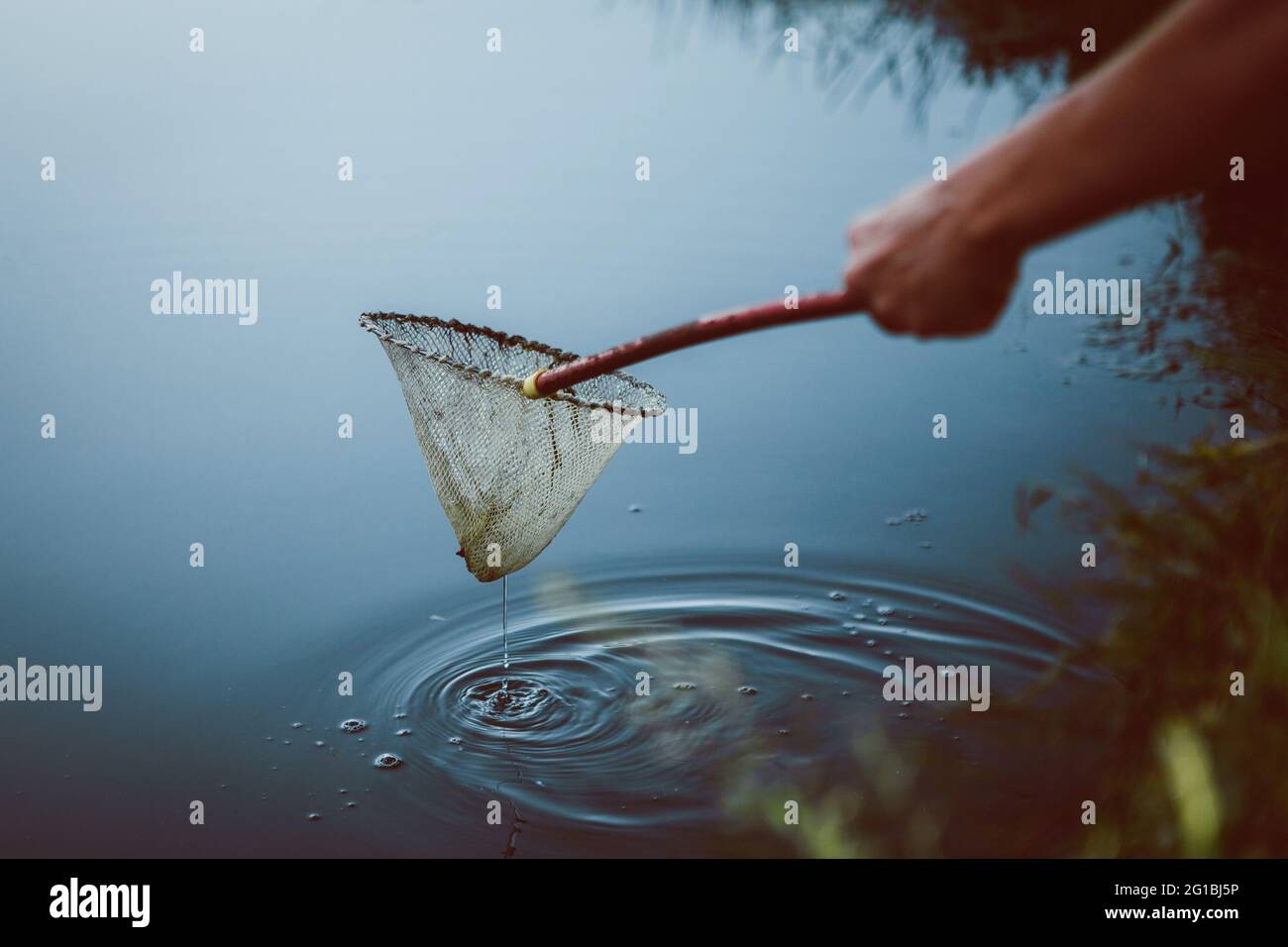 Crop unrecognizable person with net on stick catching fish in rippled ...