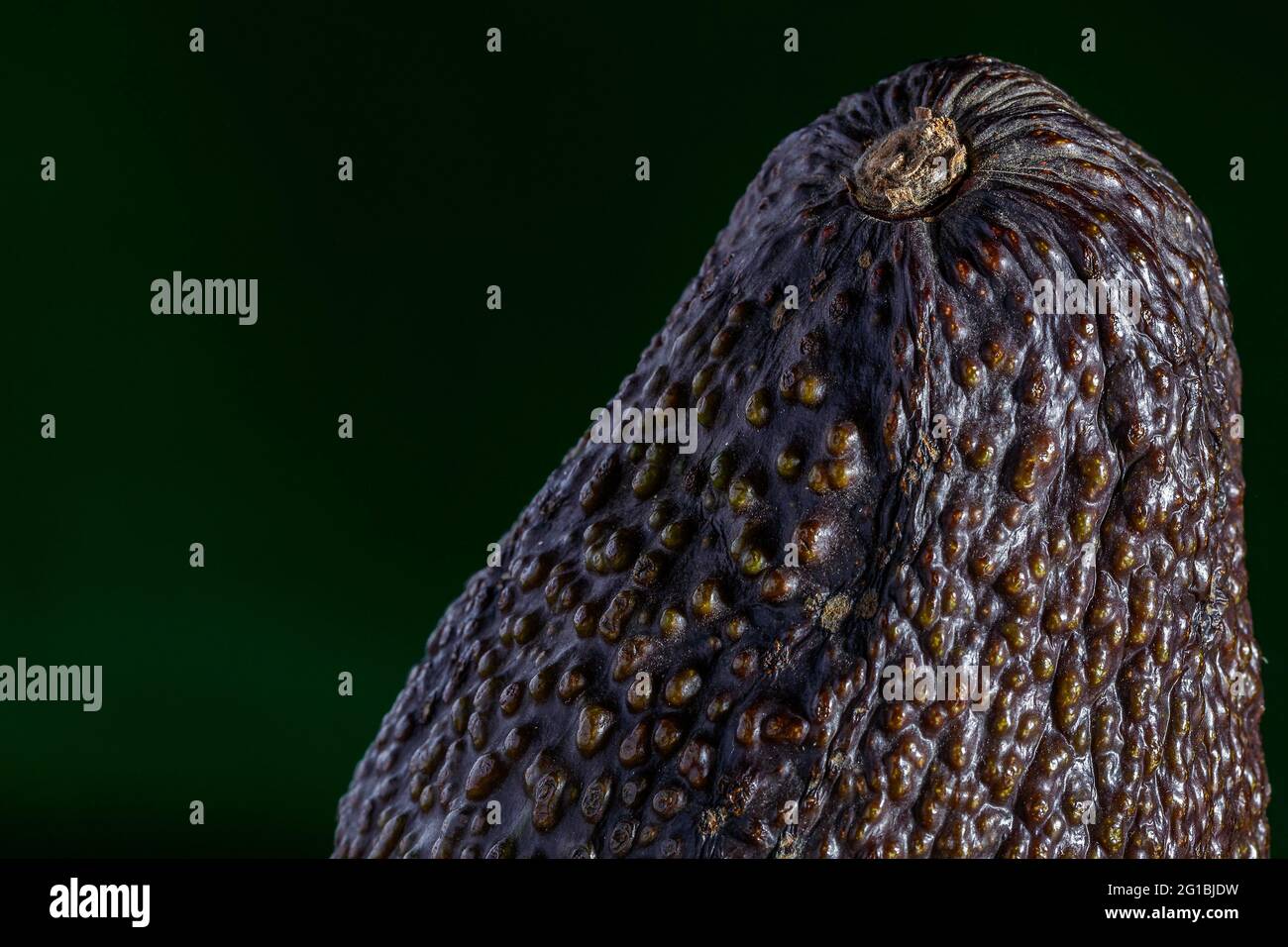 Close up view of a dusty avocado Stock Photo - Alamy