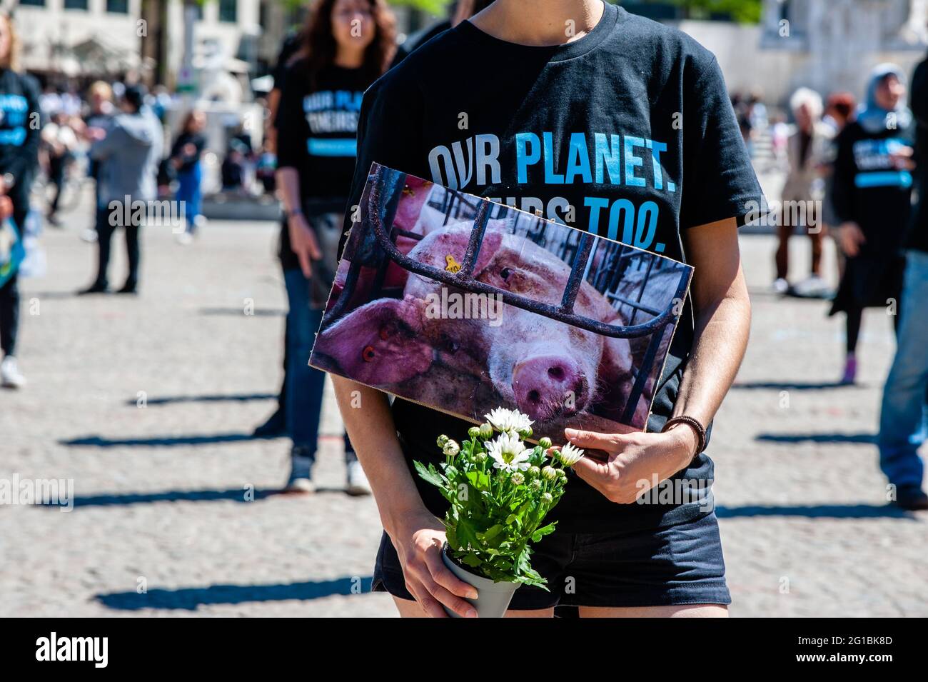 An animal activist carries a picture of animal cruelty and a bunch of ...