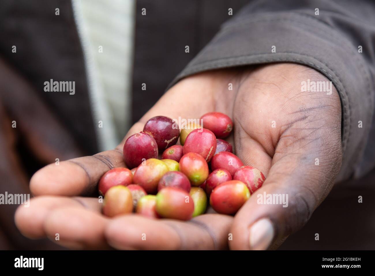 Coffee shown outside hi-res stock photography and images - Alamy