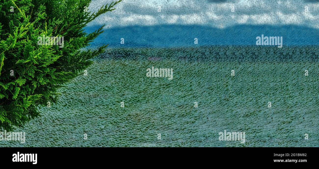 close view of conifer branch with cracked glass above the landscape ...