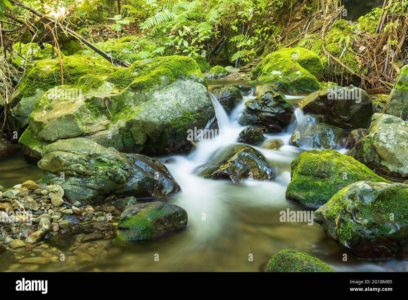 New Zealand has a lot of natural bush with bautiful water ways flowing ...