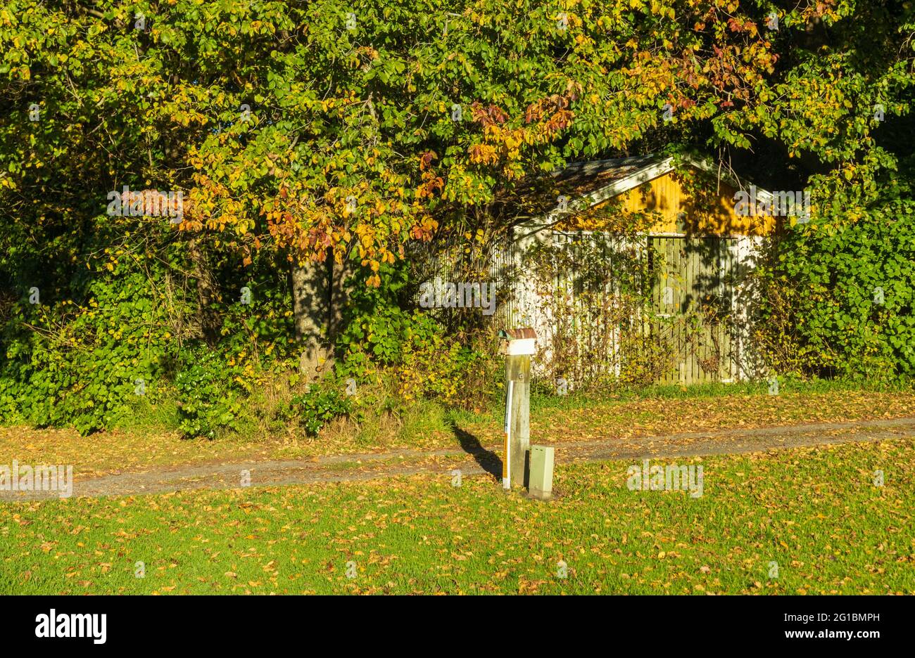 Old garden shed with autumn colorful trees around it and over it too ...