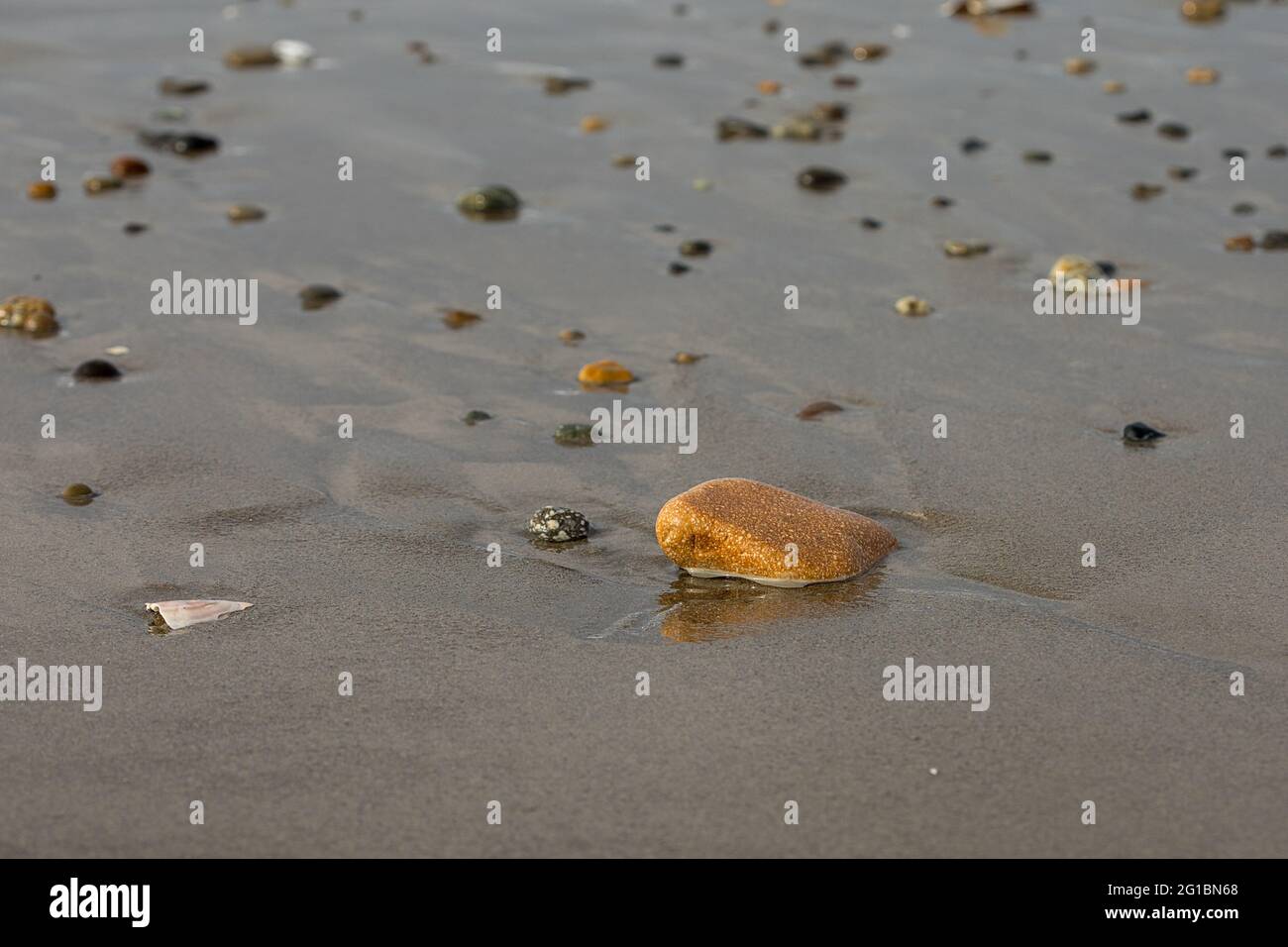 Wet beach rocks hi-res stock photography and images - Alamy