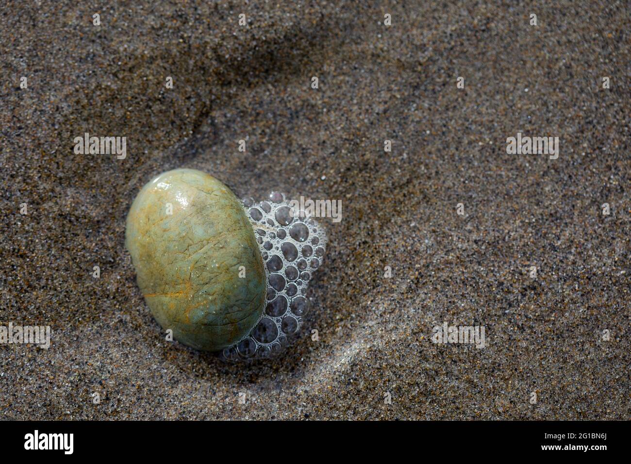 Wet green rock in the sand on an Oregon beach on the South Coast Stock ...