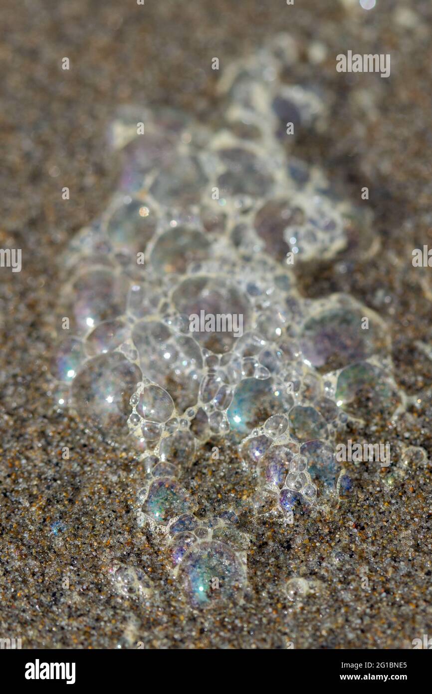 Seafoam bubbles on the sandy Oregon beach Stock Photo - Alamy