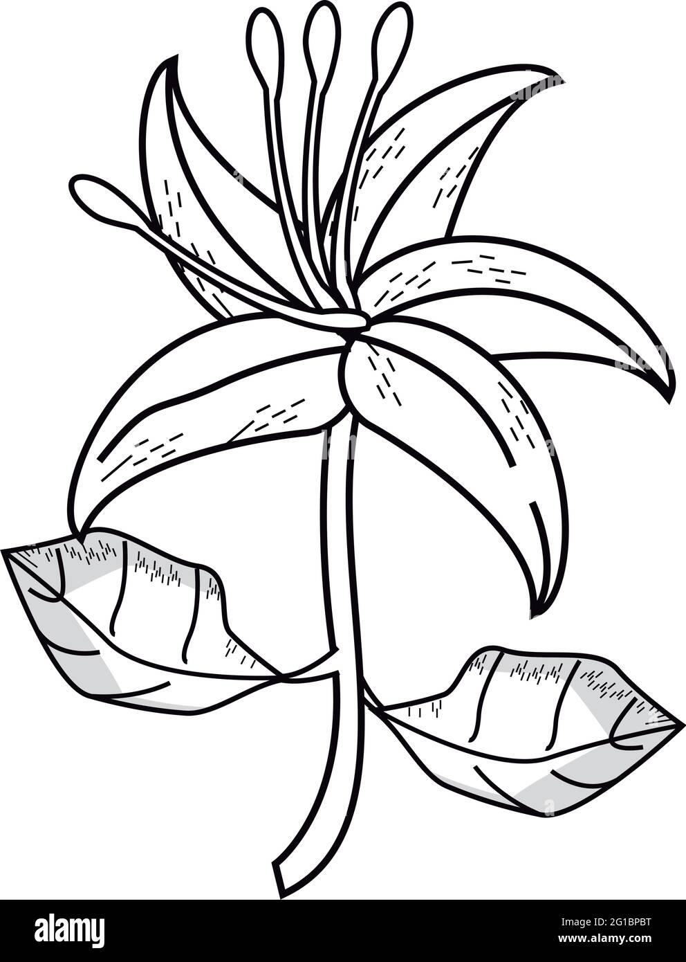 flower sketch icon Stock Vector Image & Art - Alamy