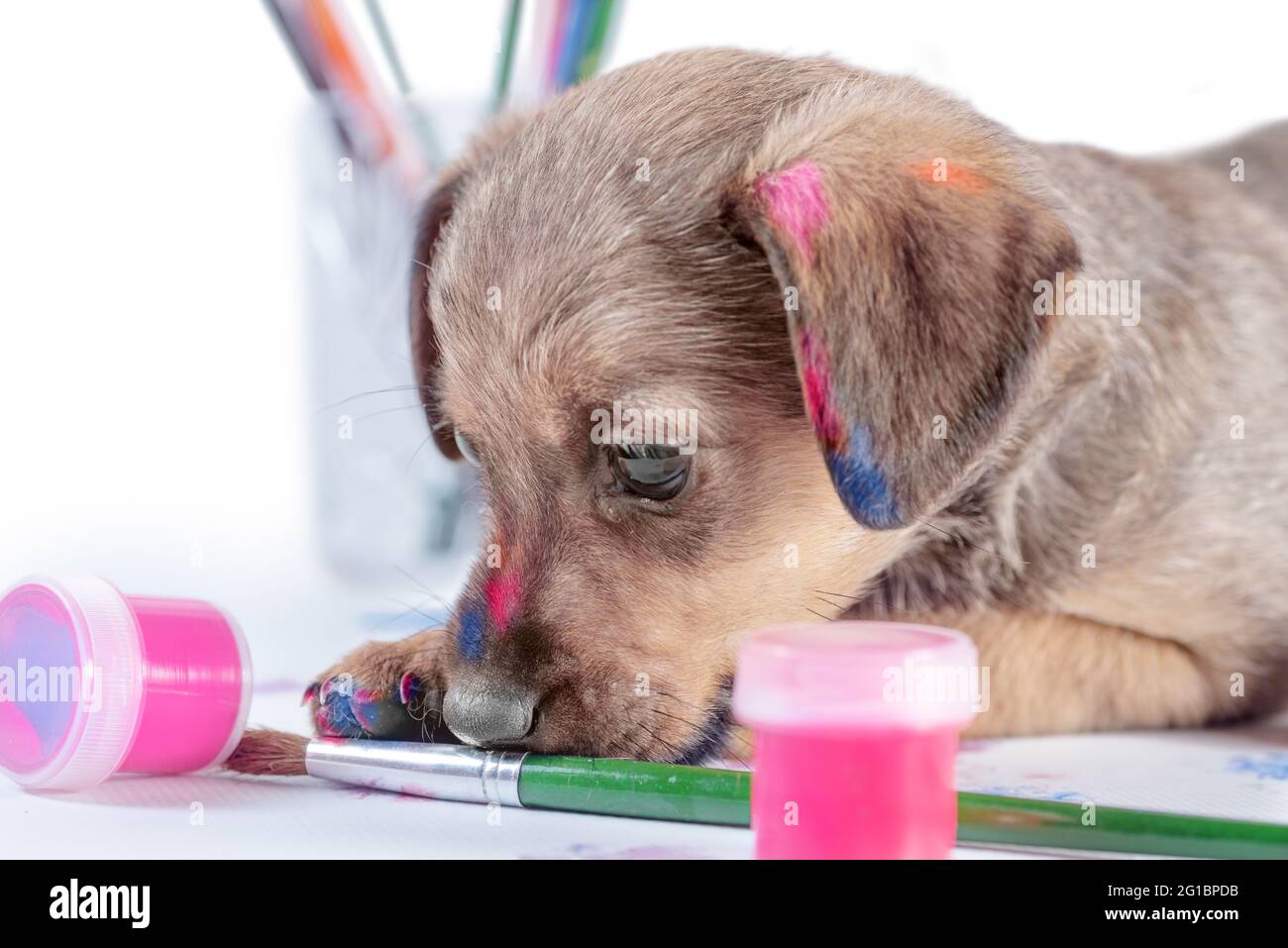 Rogue paint hi-res stock photography and images - Alamy