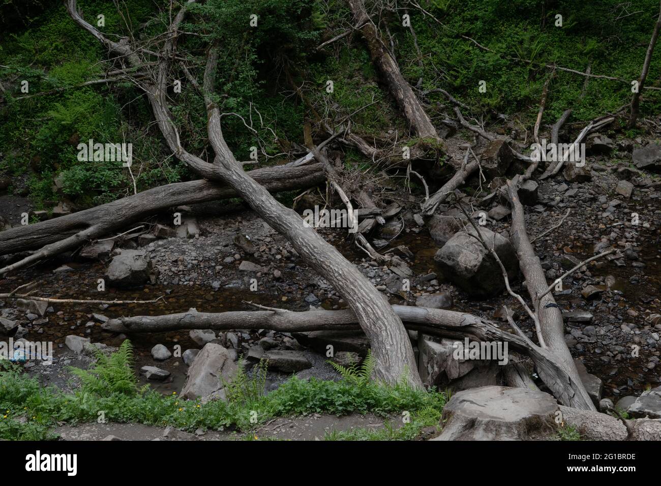 Coelbren hi-res stock photography and images - Alamy