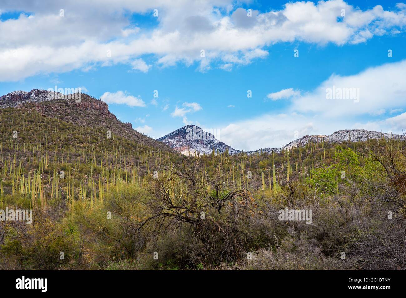 A rare snow in Tucson Arizona Stock Photo - Alamy