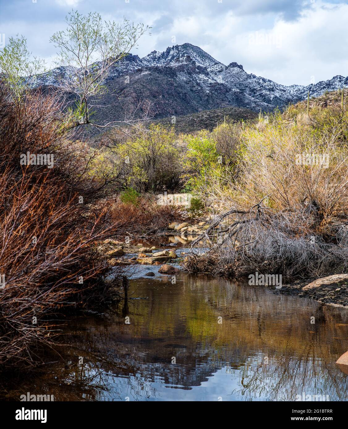 A rare snow in Tucson Arizona Stock Photo - Alamy