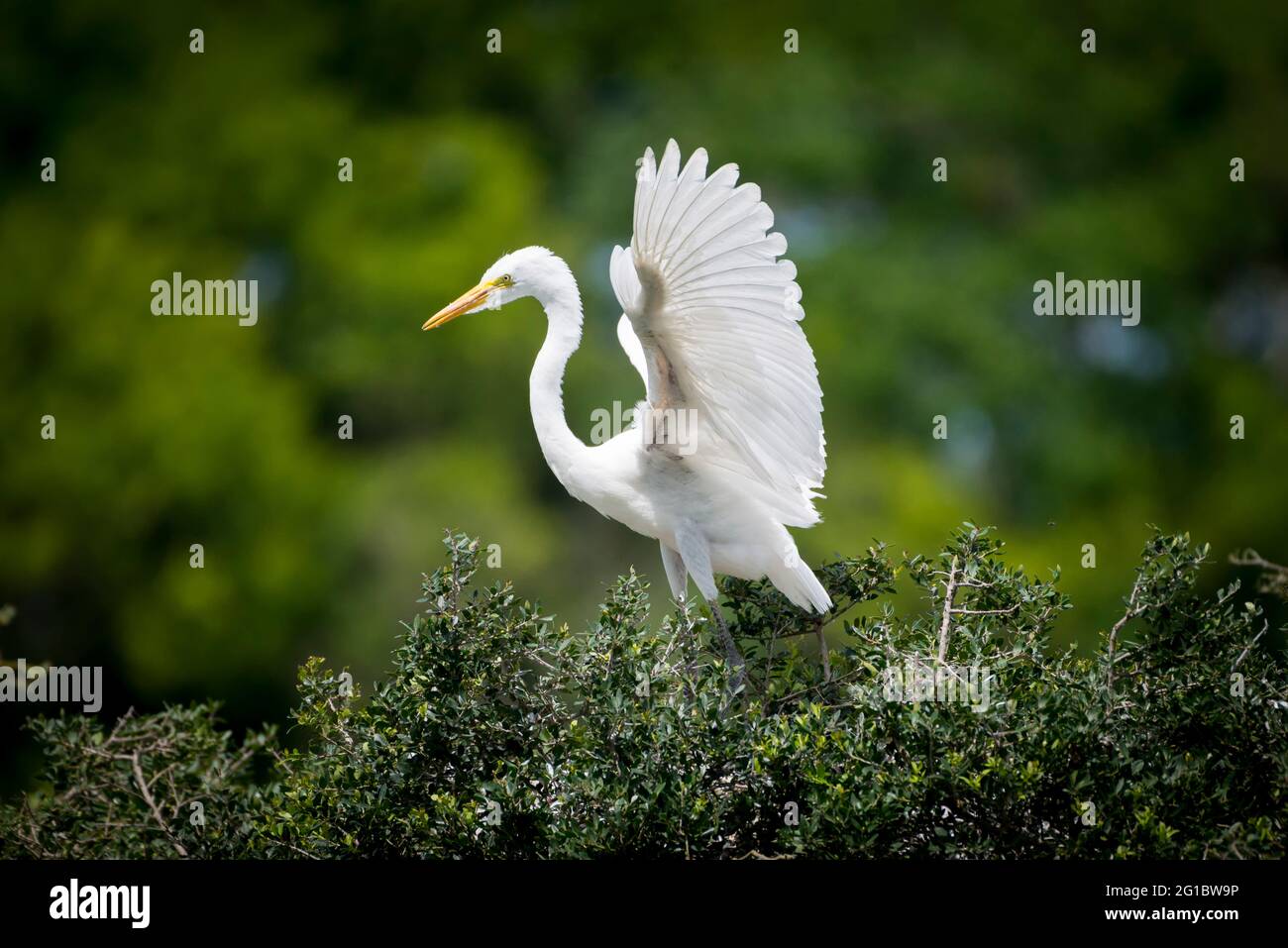 High island texas hi-res stock photography and images - Alamy