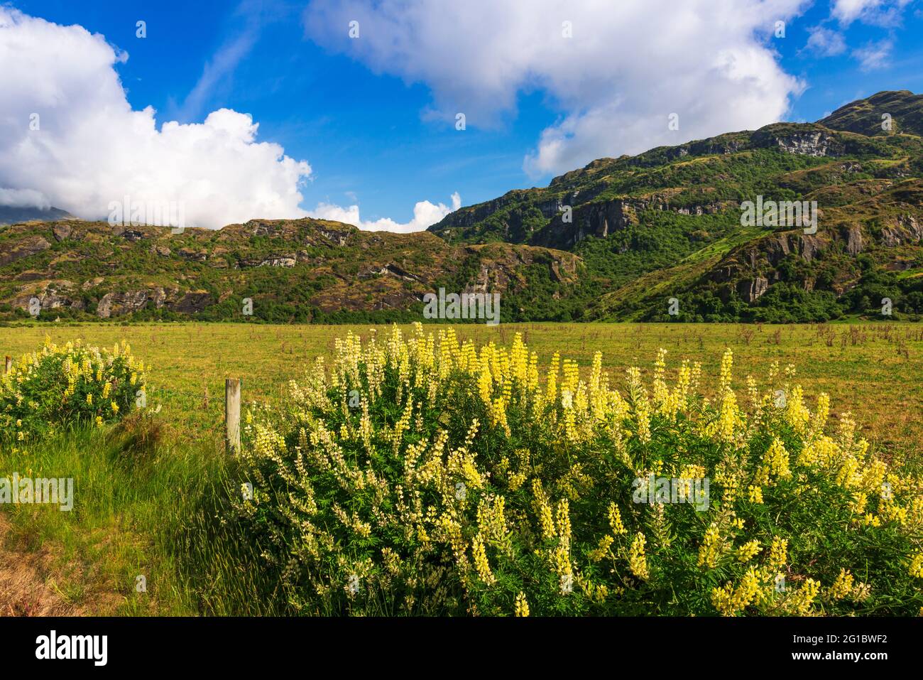 Glendhu bay wildflowers hi-res stock photography and images - Alamy