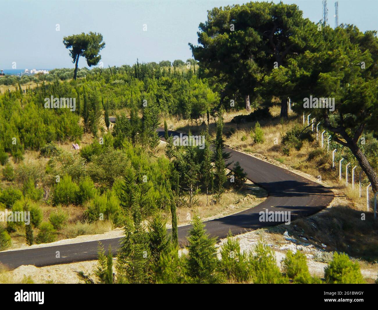 Road without cars top view, landscape with trees and highway Stock ...