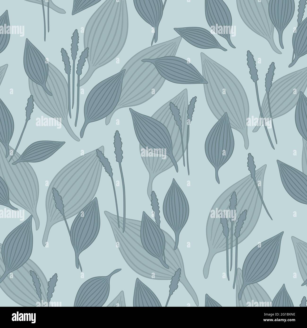Vector doodle large plantain seamless pattern. Gray leaves and flowers ...