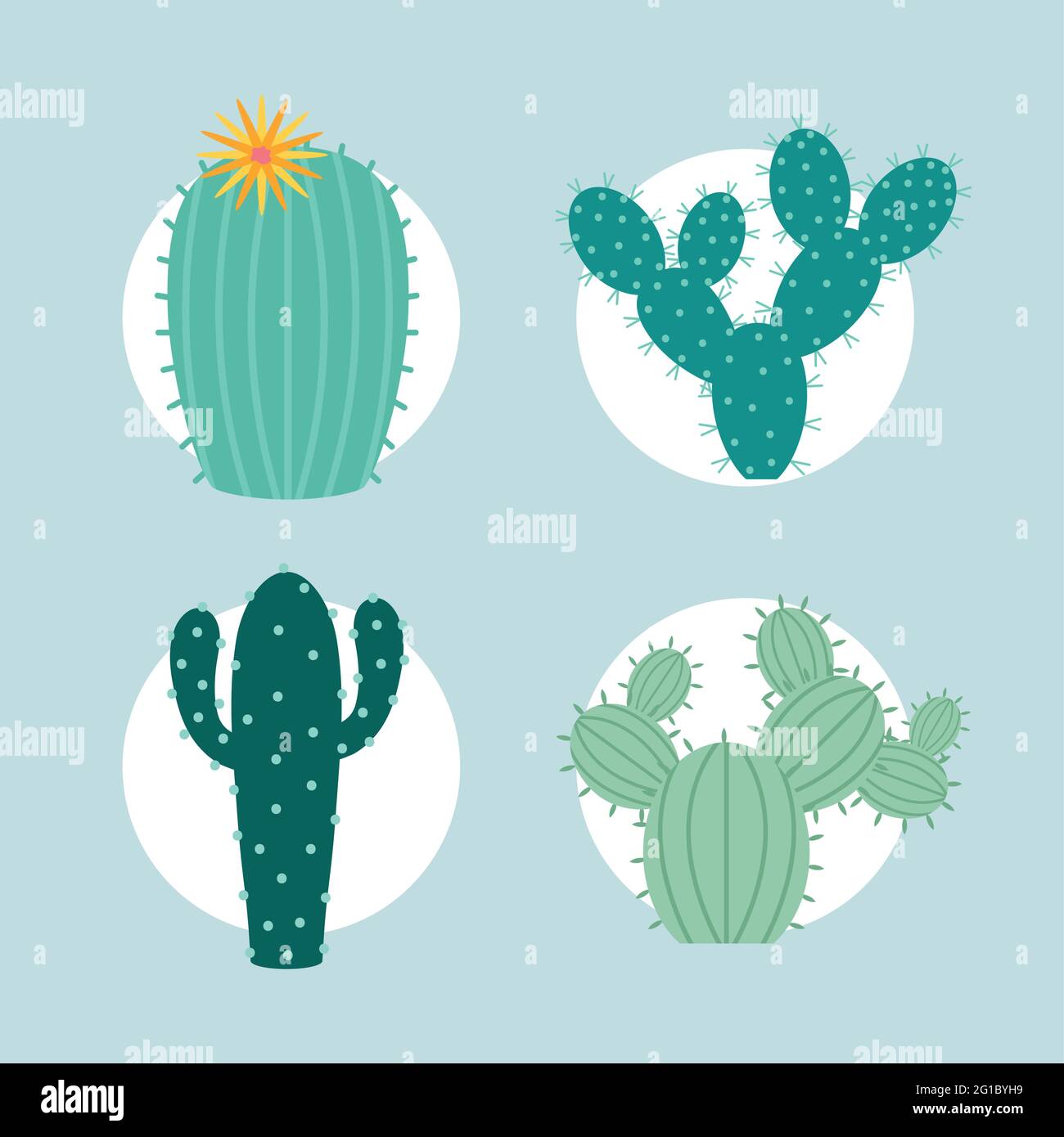 Four cactus Stock Vector Images - Alamy