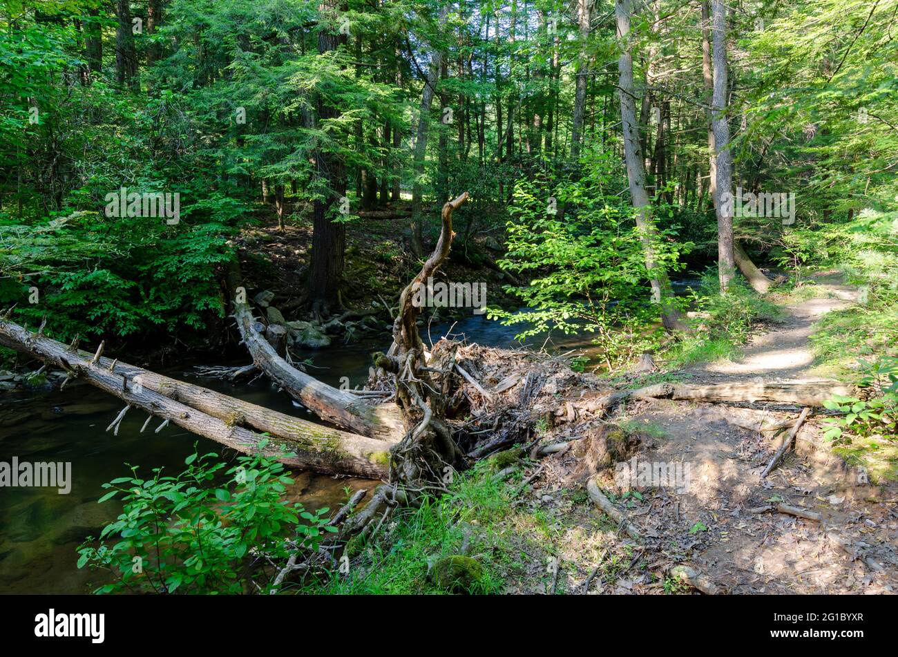 The fallen state hi-res stock photography and images - Alamy
