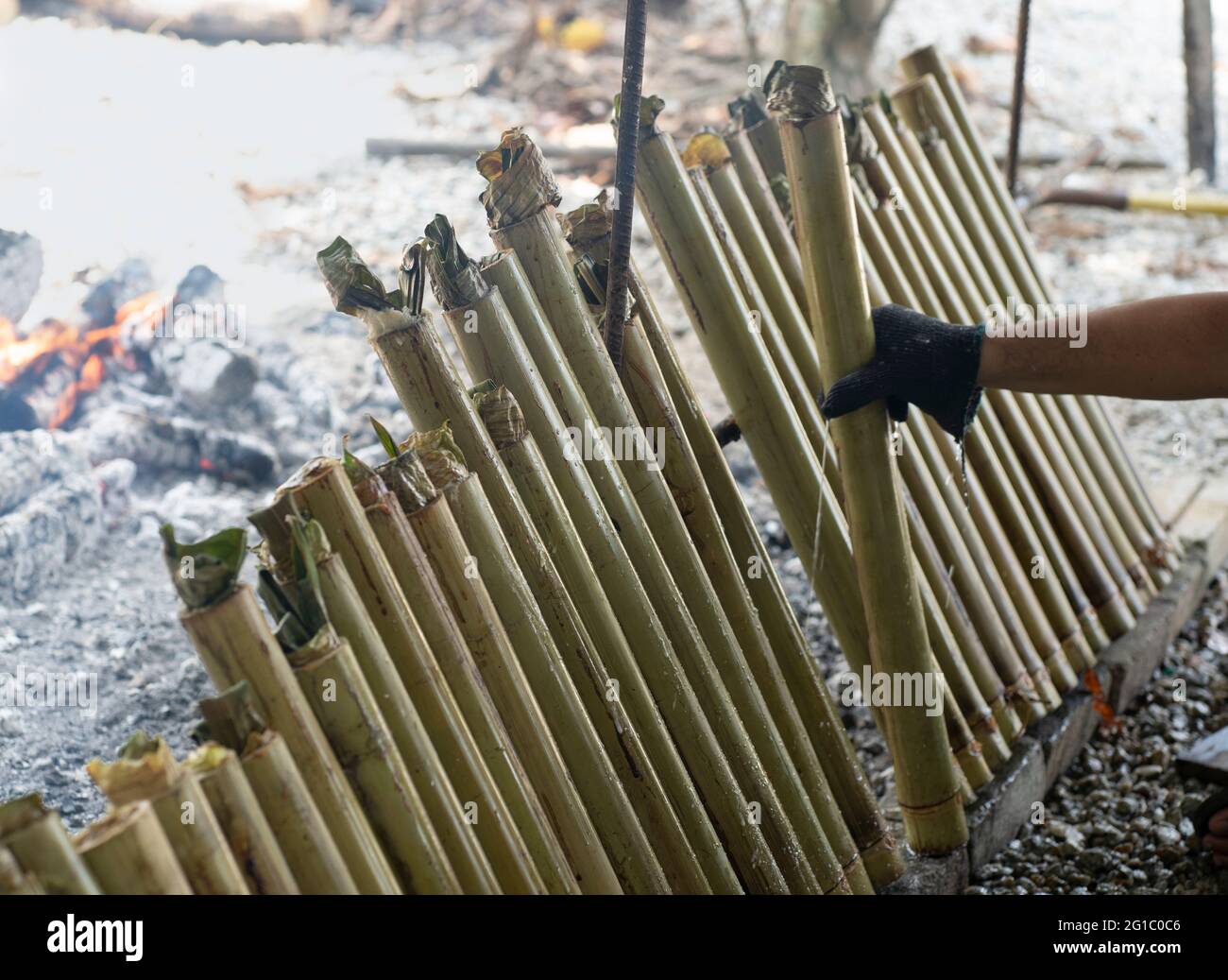 A row of lemang at the end of the cooking process. Lemang is a staple ...