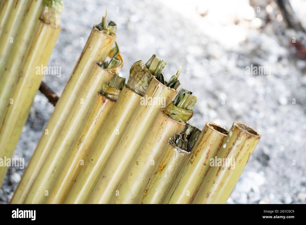 A row of lemang at the end of the cooking process. Lemang is a staple ...