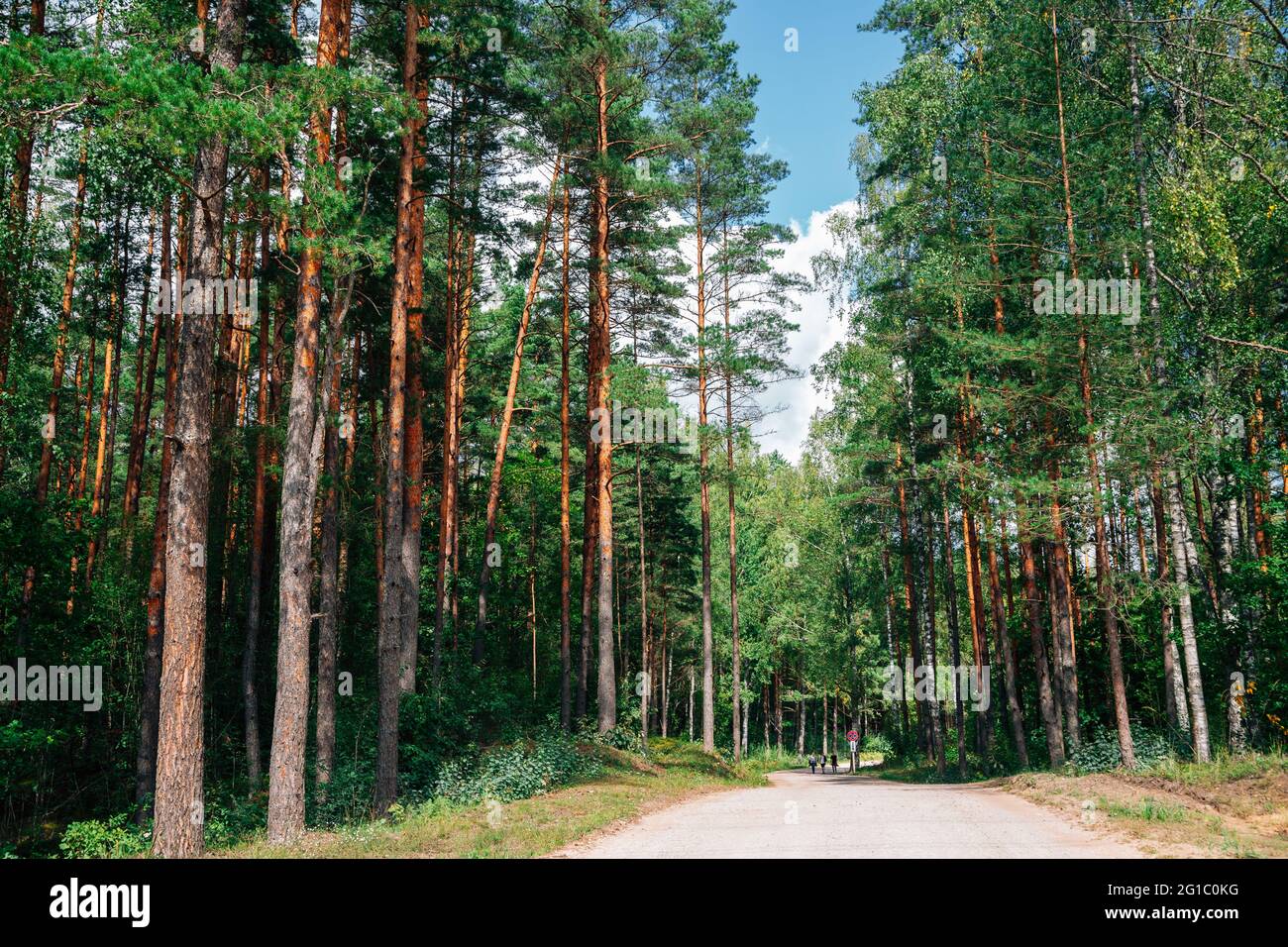 Trekking in kemeri national park hi-res stock photography and images ...