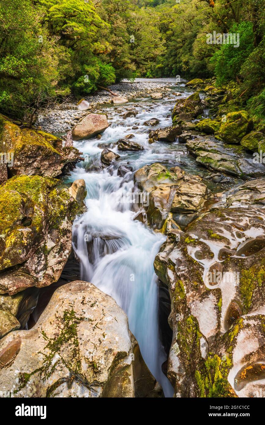 The Chasm, Fiordland National Park, South Island, New Zealand Stock ...