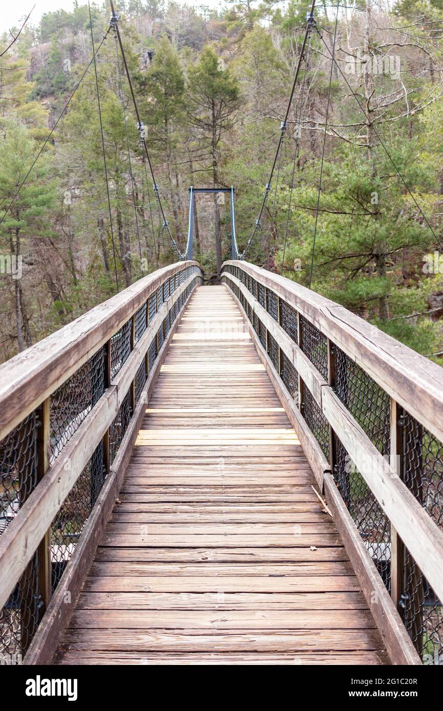 Wooden suspension bridge in the green forest Stock Photo - Alamy