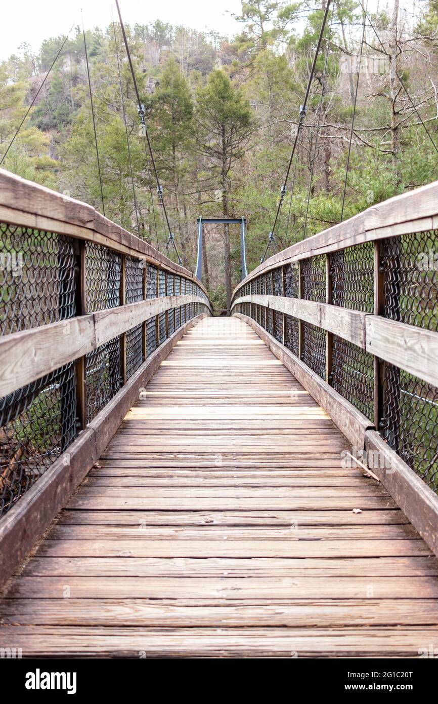 Wooden suspension bridge in the green forest Stock Photo - Alamy