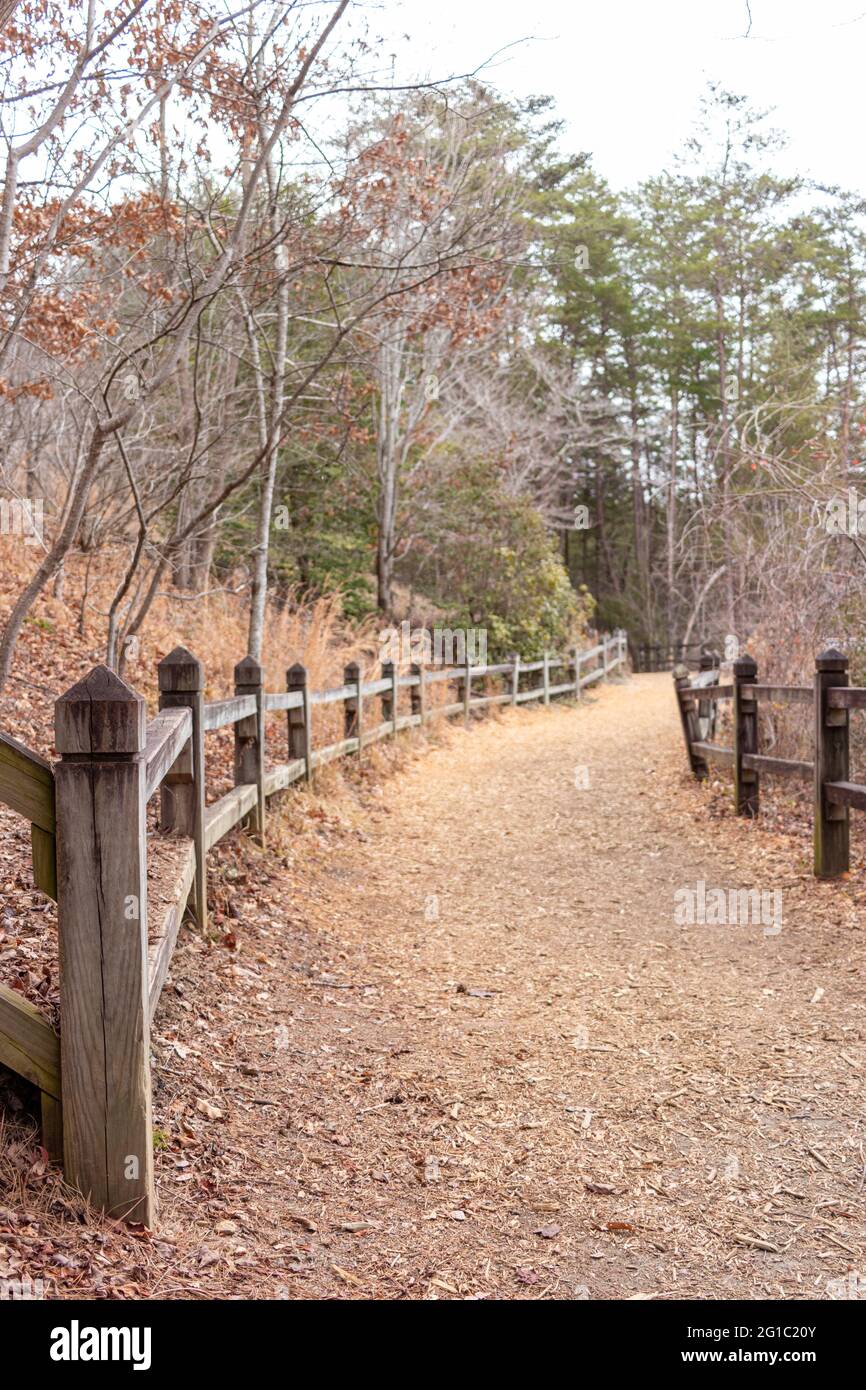 Pathway inside the forest with wooden fences Stock Photo - Alamy