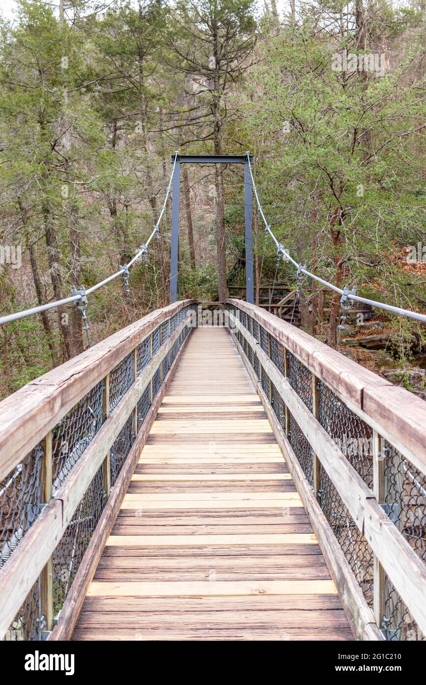Wooden suspension bridge in the green forest Stock Photo - Alamy