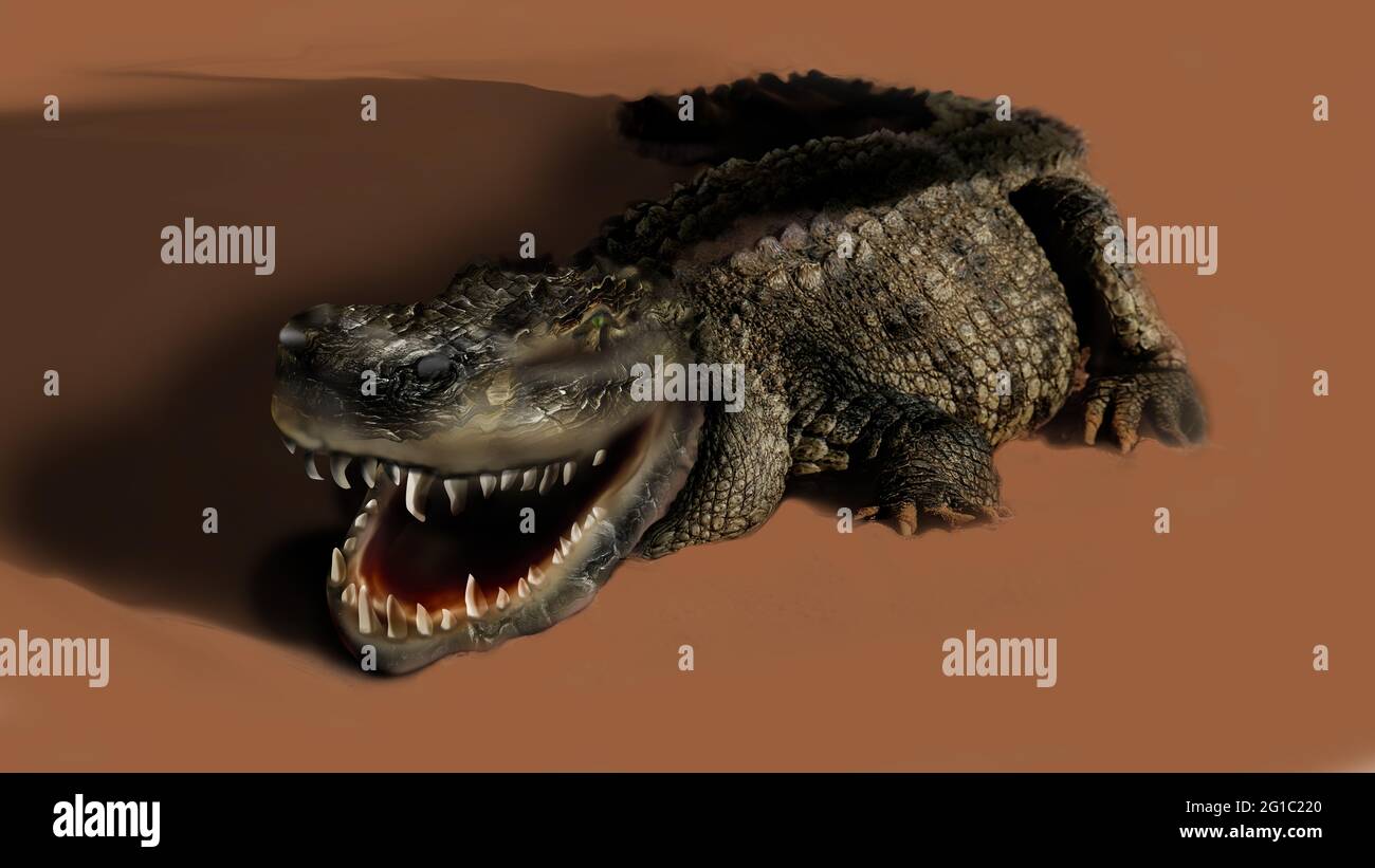 Purussaurus hi-res stock photography and images - Alamy