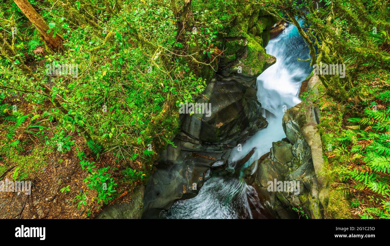 The Chasm, Fiordland National Park, South Island, New Zealand Stock ...