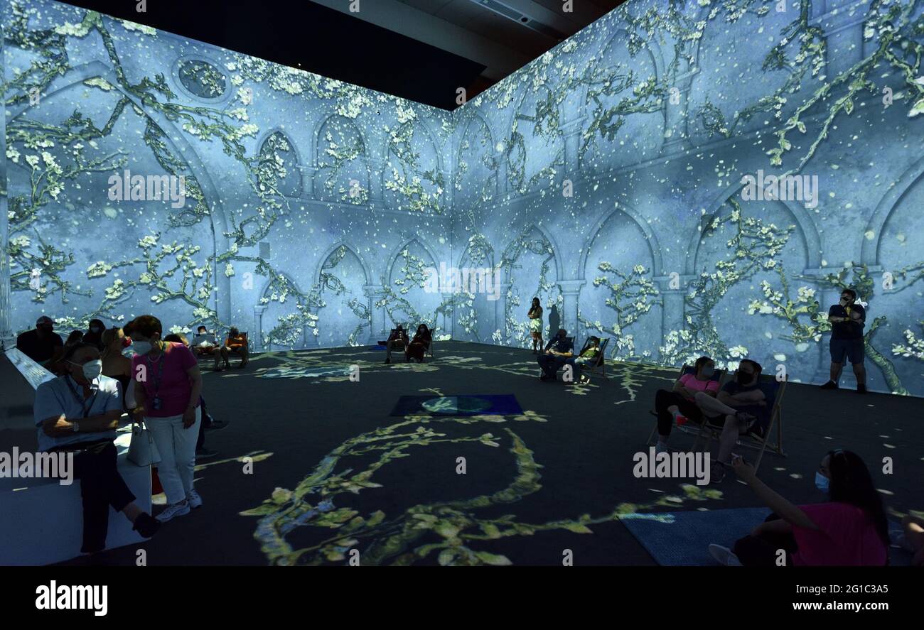 Van Gogh: The Immersive Experience Opening at Skylight on Vesey in New ...
