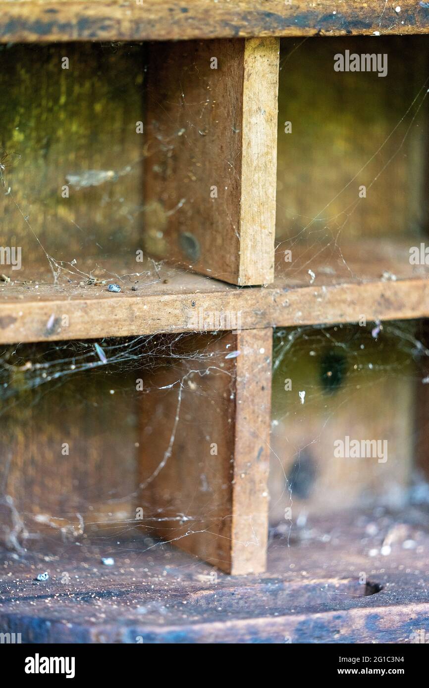 Dirty cobweb filled compartment box in closeup Stock Photo - Alamy
