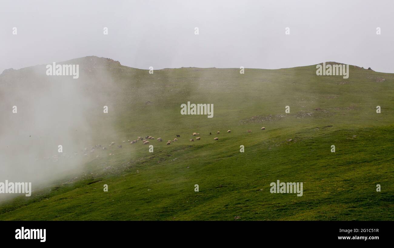 High resolution misty mountain landscape without people with space ...
