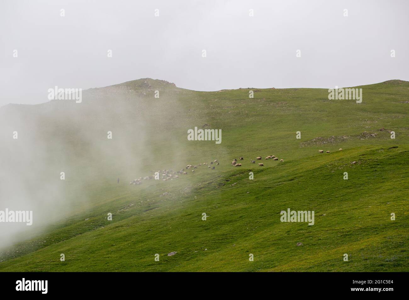 High resolution misty mountain landscape without people with space ...