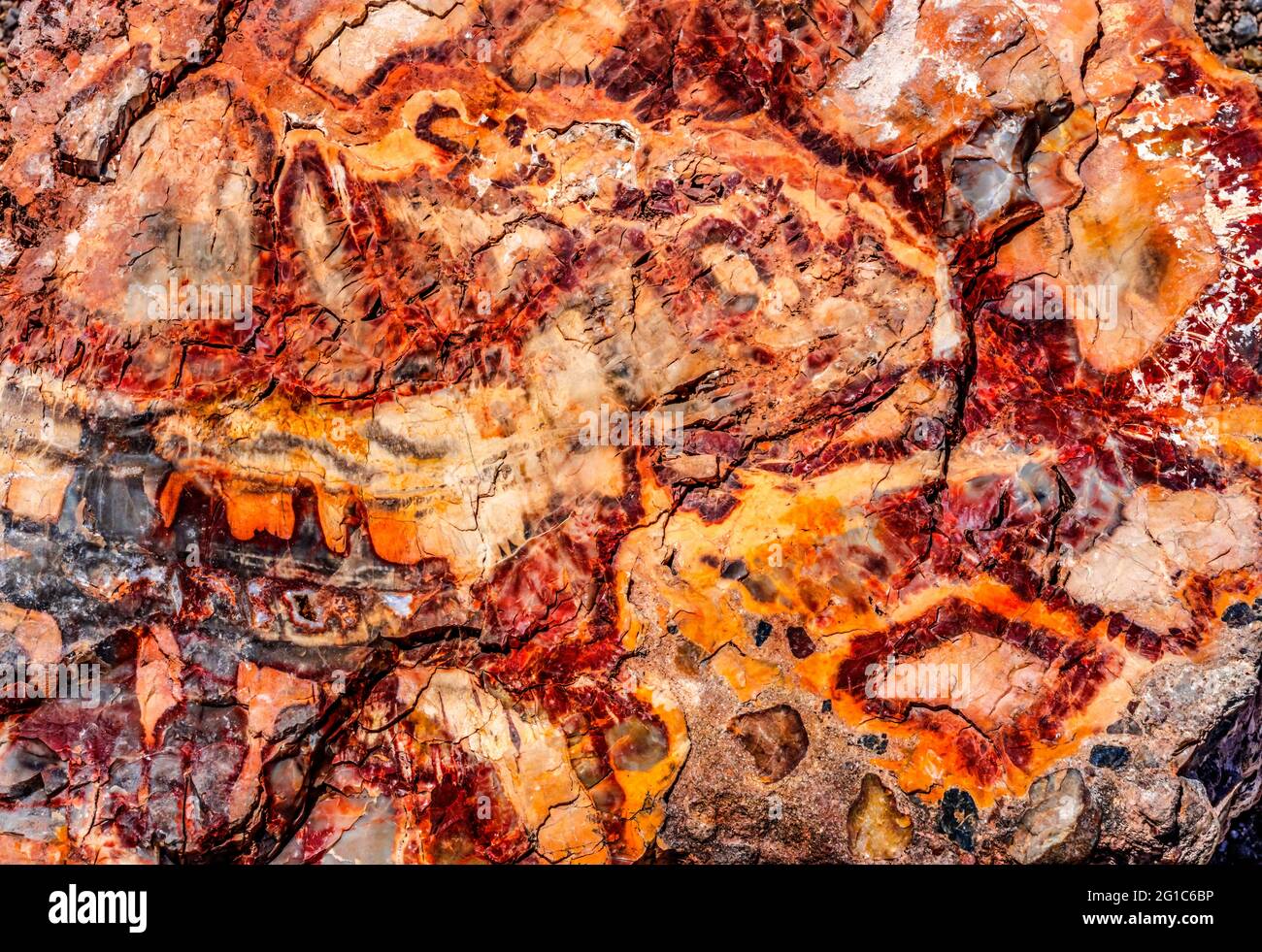 Red Orange Yellow Petrified Wood Abstract Blue Mesa Petrified Forest ...