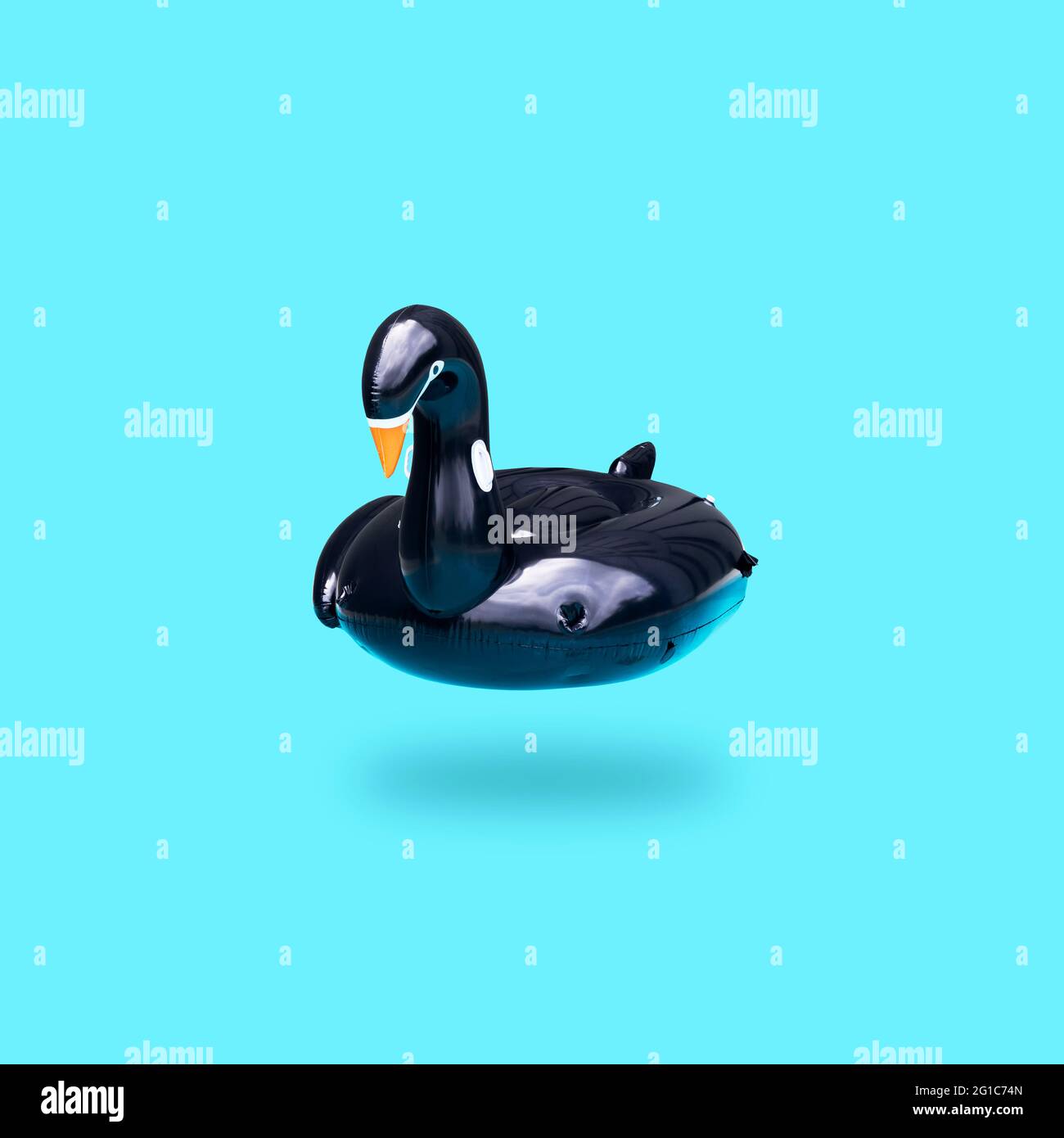 Summer Minimal Concept Black Inflatable Swan Bird Swim Ring Float On A