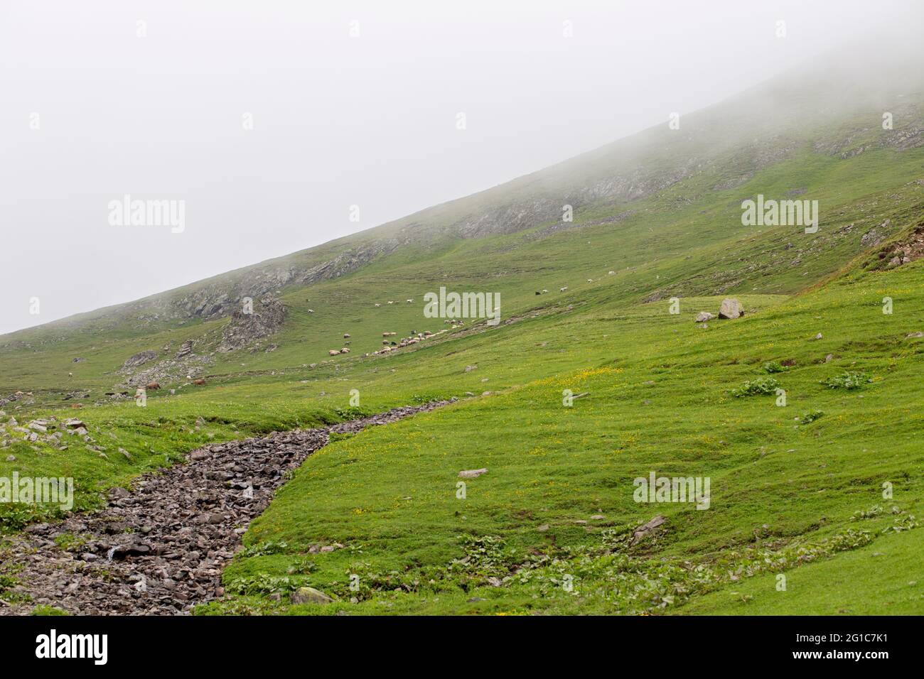 High resolution misty mountain landscape without people with space ...
