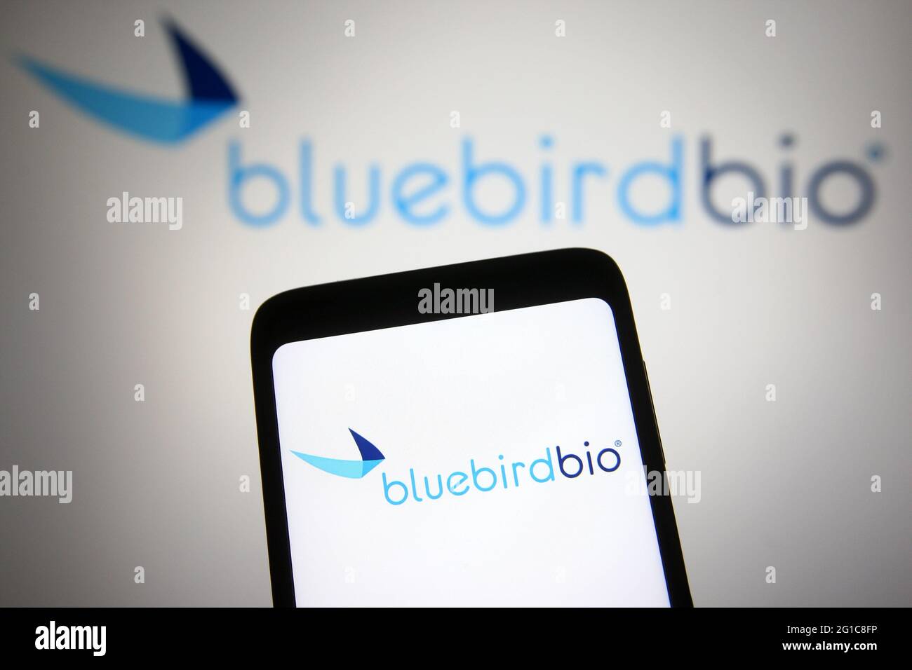 In this photo illustration, a Bluebird bio logo is seen on a smartphone ...