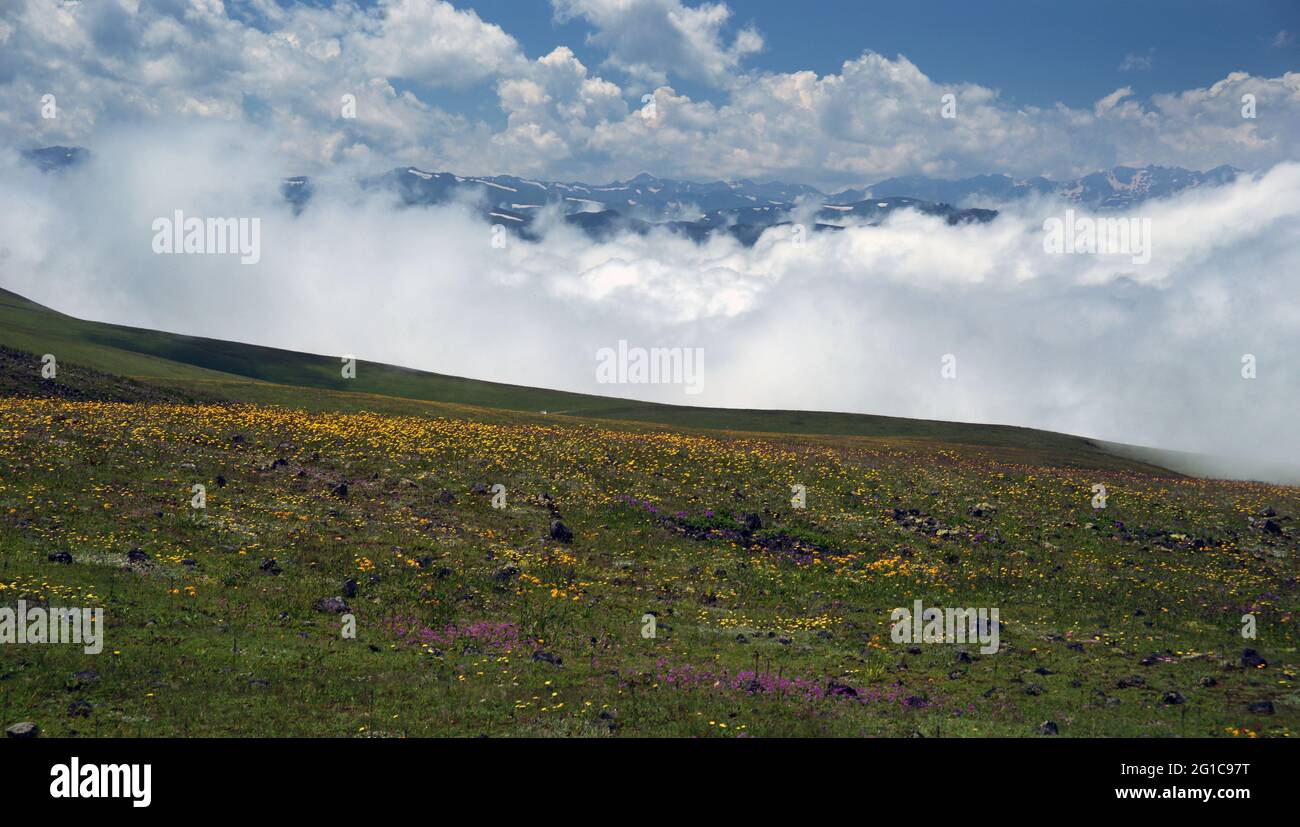 Panoramic photo of the clouds descending to the earth and spreading ...