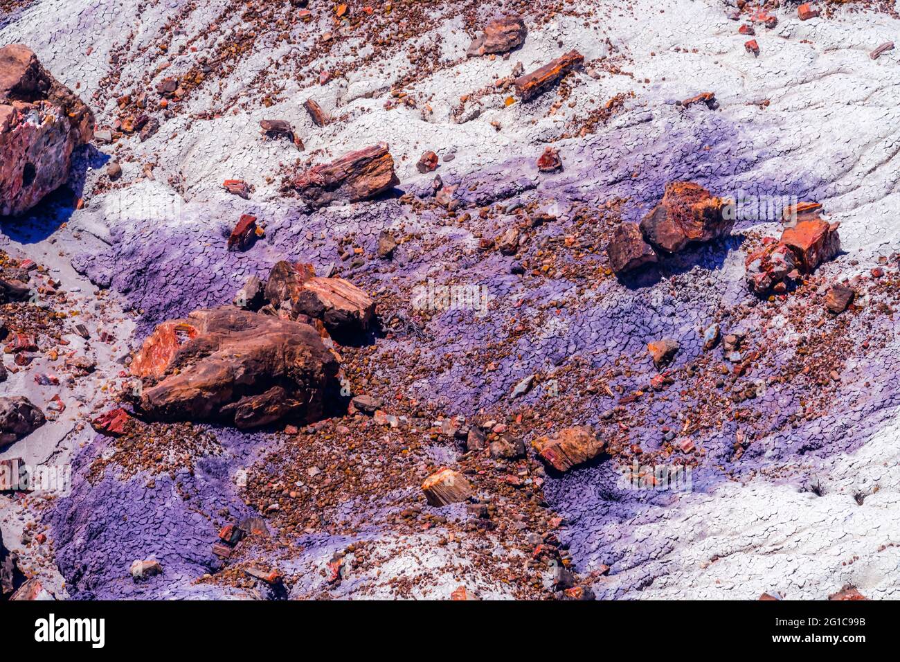 Petrified Wood Logs Rock Purple Blue Mesa Petrified Forest National ...