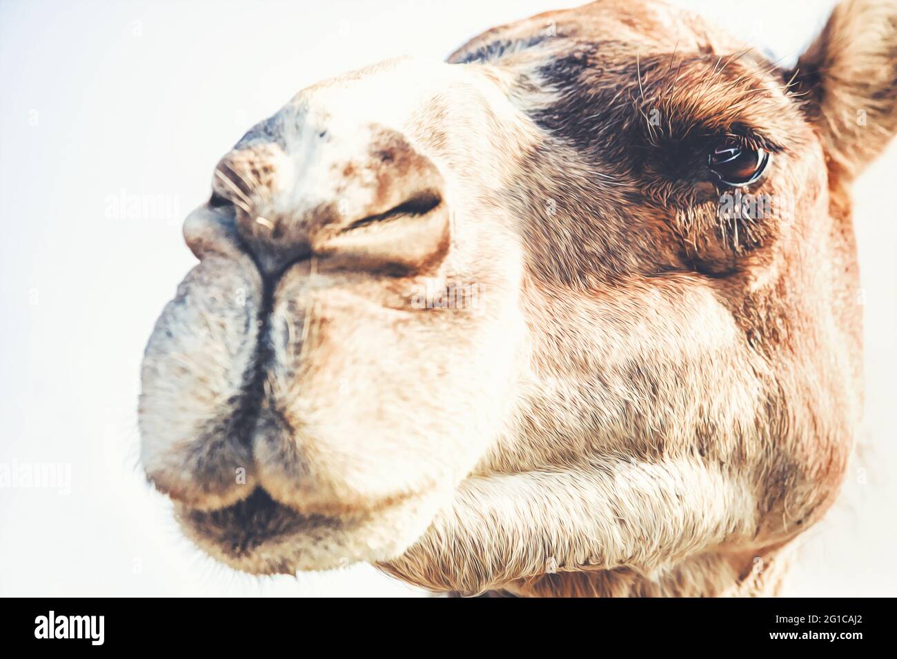 Aquarell stil hi-res stock photography and images - Alamy